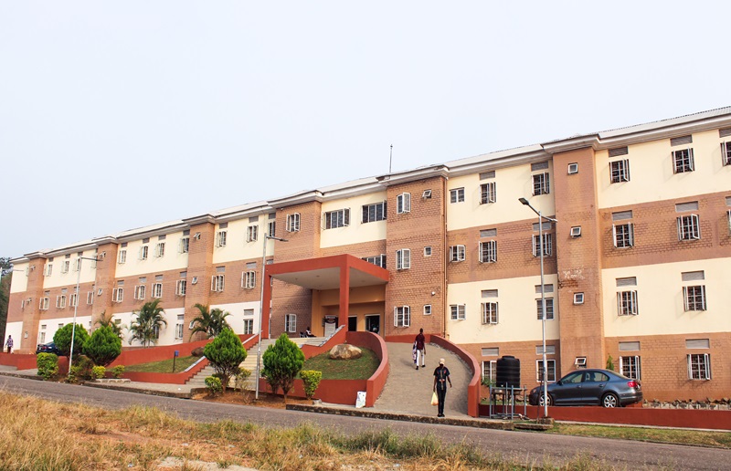 Elizade University