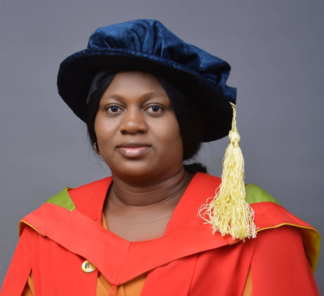 ELIZADE UNIVERSITY ELEVATES FOUR DISTINGUISHED SCHOLARS TO PROFESSORIAL ...
